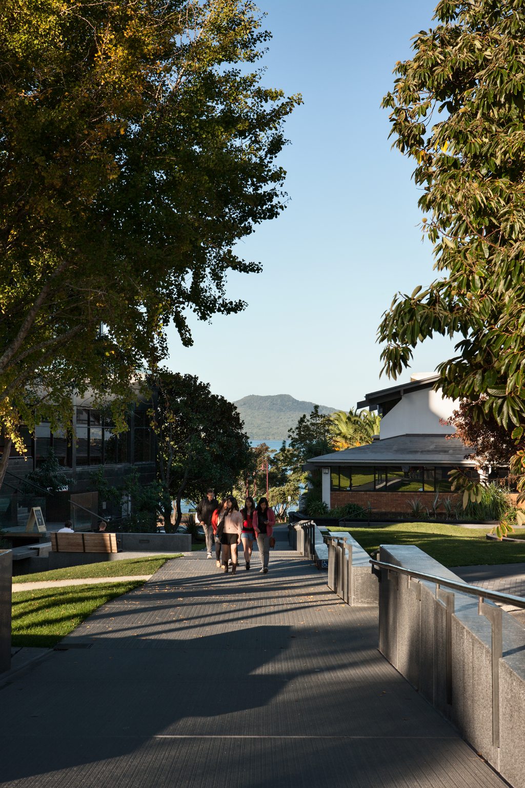 Hurstmere Green | Sills van Bohemen